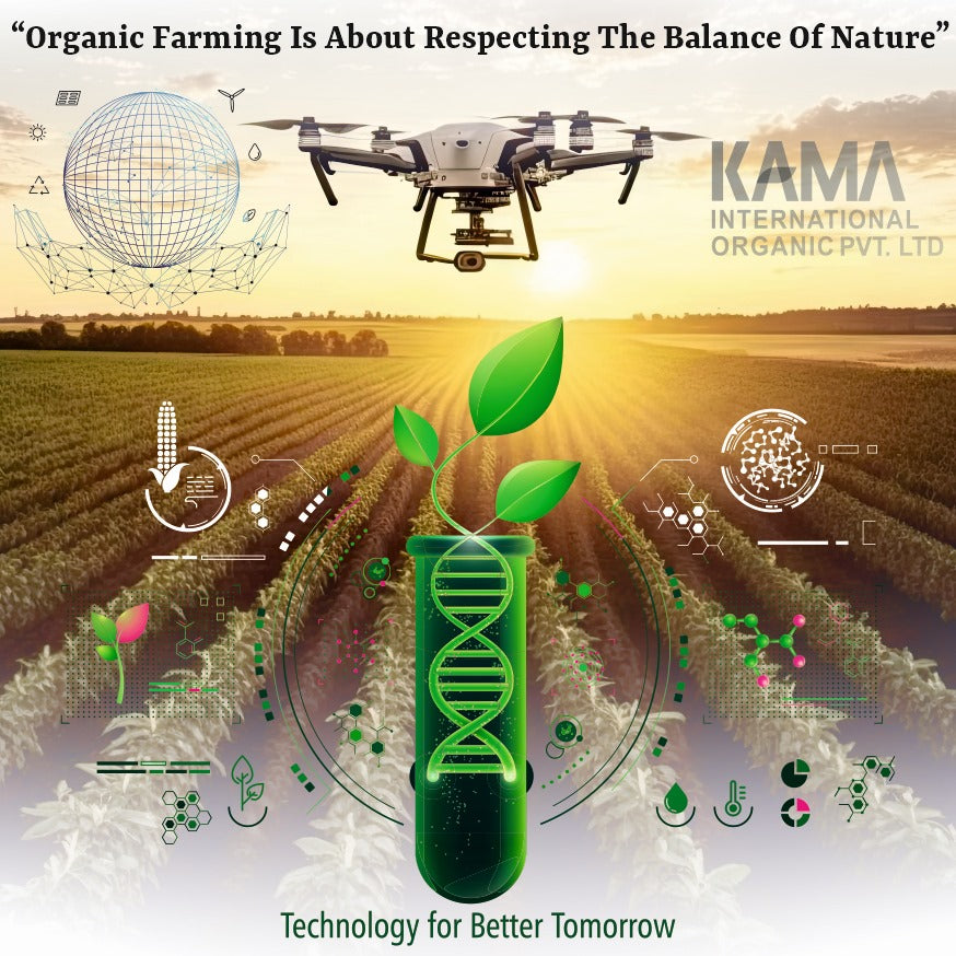 Embarking on the Green Journey: A Beginner's Guide to Organic Farming